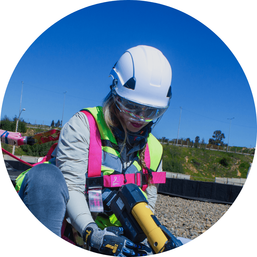 Tienda Online Segma.cl – Compra en línea